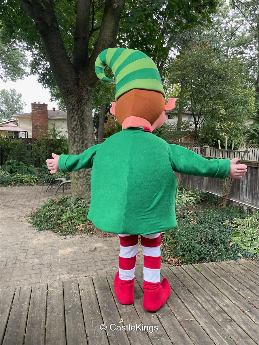 Eli Elf Costume - Party Rentals and Inflatables in Ontario, Windsor ...