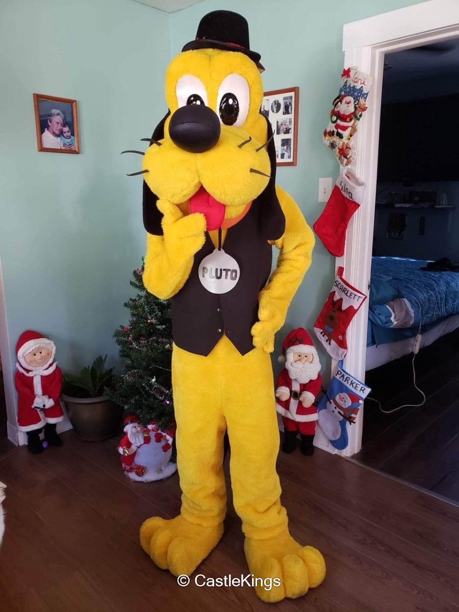 Character Costume - Party Rentals and Inflatables in Ontario, Windsor ...