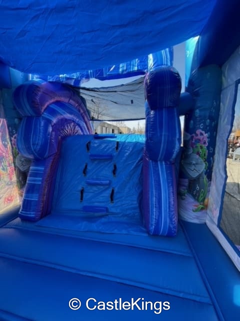 Wet or Dry Mermaid Combo - Party Rentals and Inflatables in Ontario ...